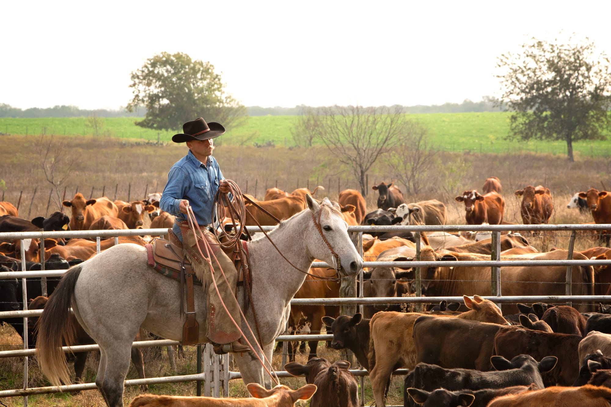 Product Release Roundup: March/April